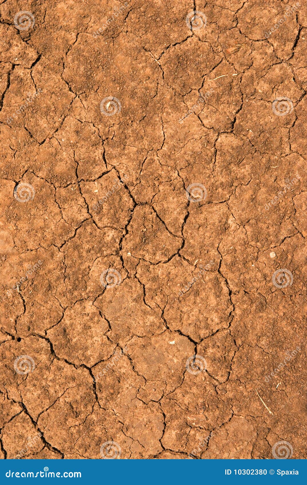The cracked earth stock photo. Image of geology, mire - 10302380