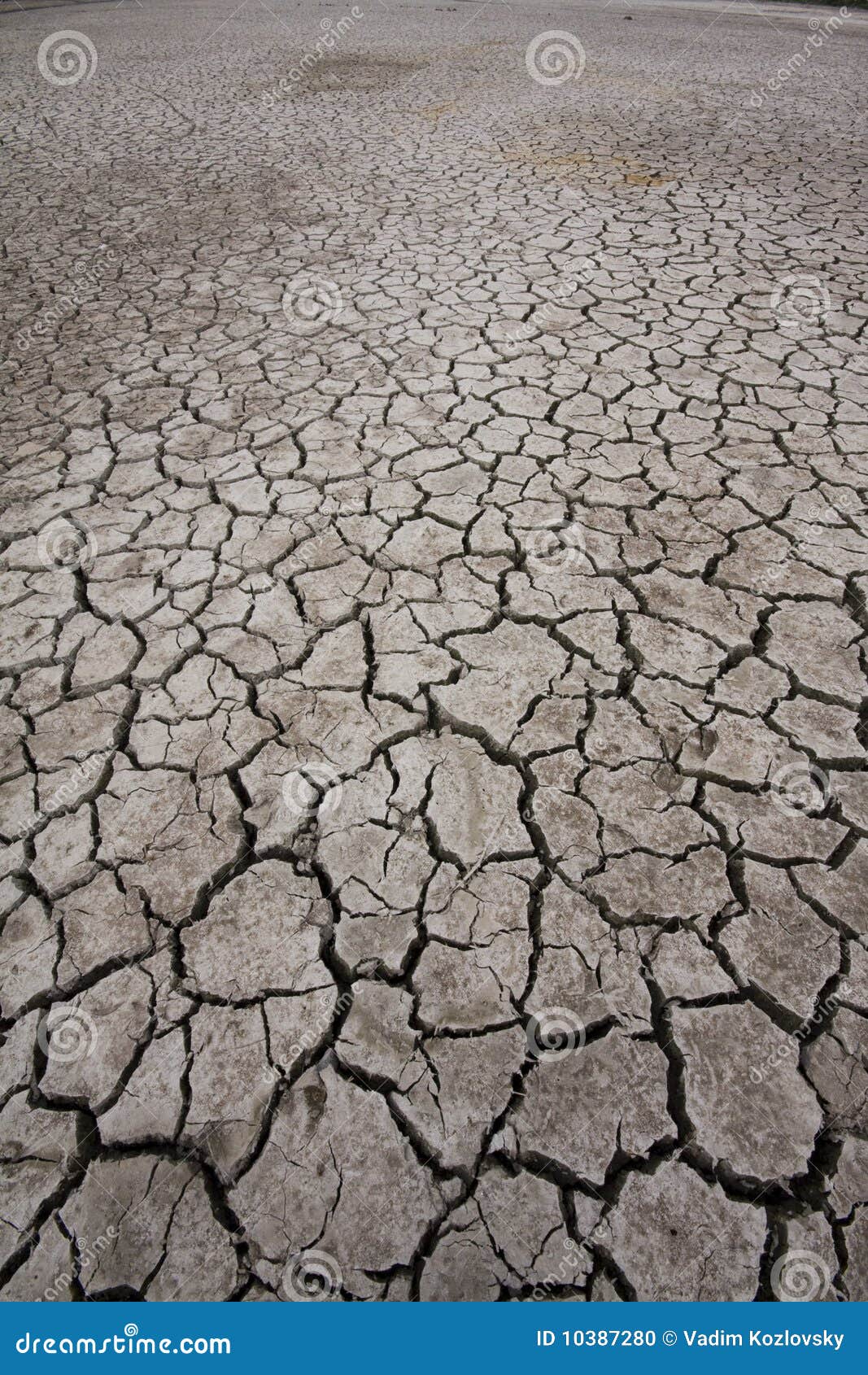 Cracked earth stock photo. Image of brake, background - 10387280