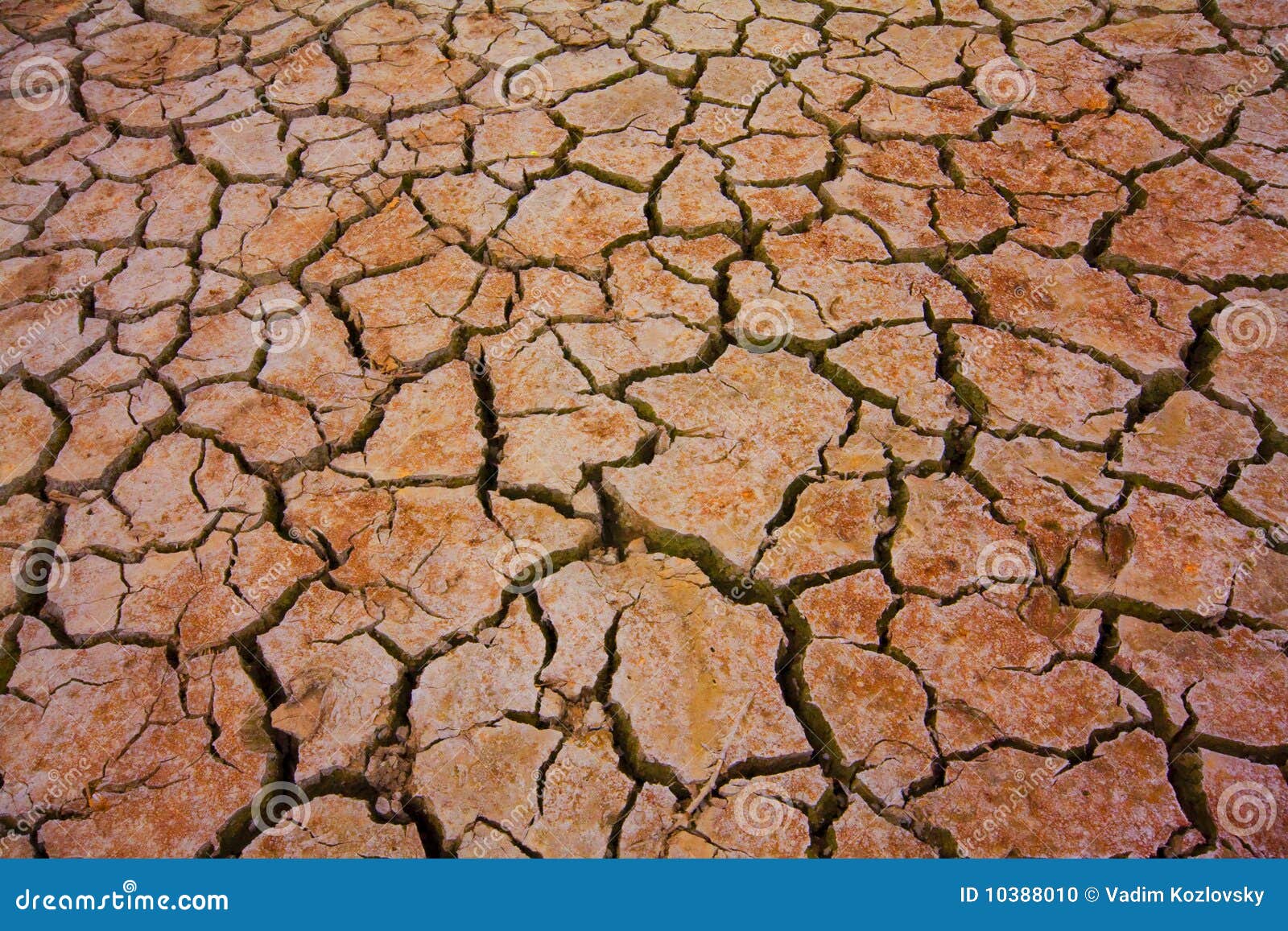 Cracked earth stock photo. Image of barren, land, climate - 10388010