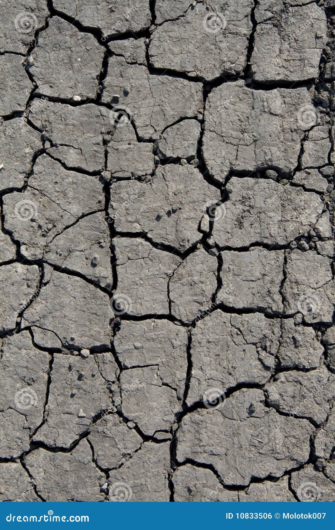 Cracked earth stock photo. Image of brown, earth, drought - 10833506