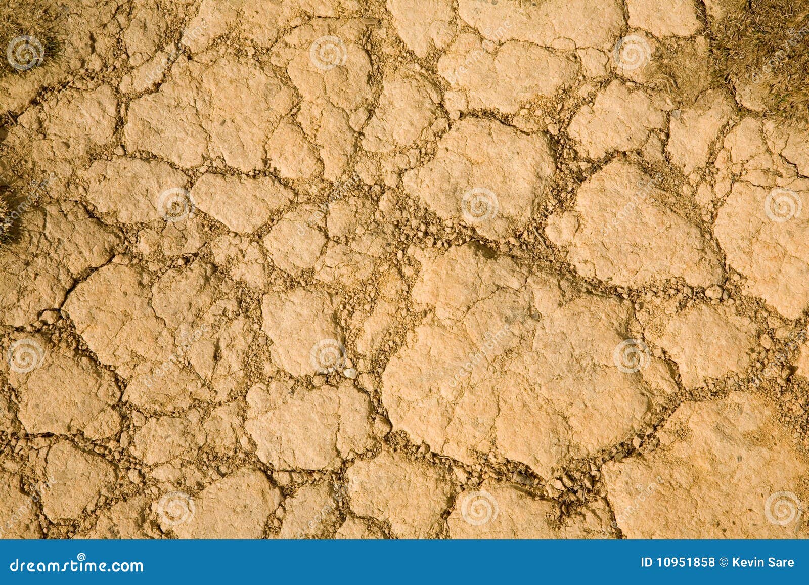 Cracked earth stock photo. Image of scorched, heatwave - 10951858