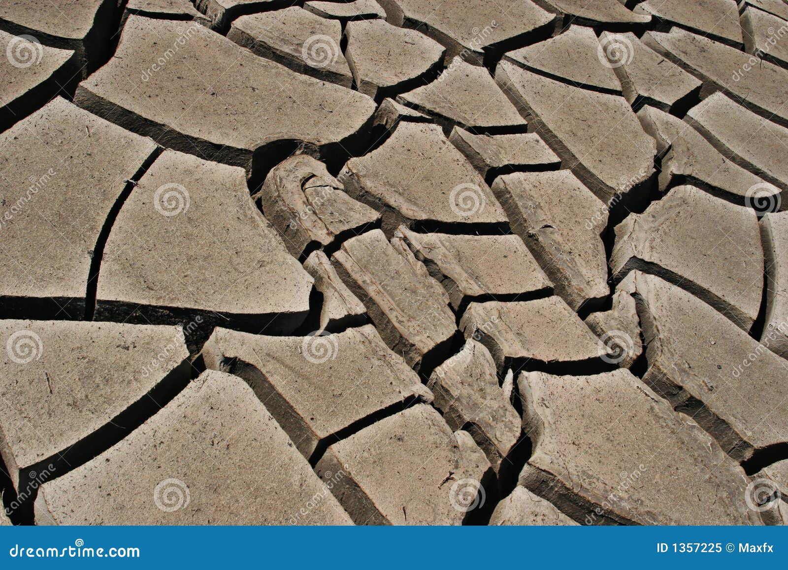 Cracked Earth Picture. Image: 1357225