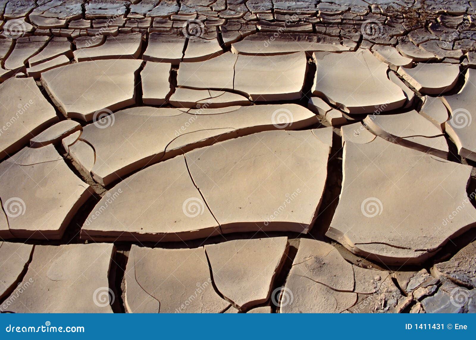 Dry Cracked Earth Texture. Cracks In The Dried Soil. Desertification ...