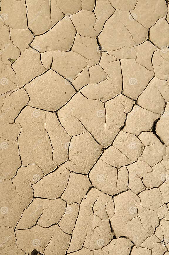 Cracked earth stock photo. Image of natur, ripped, weather - 15367490