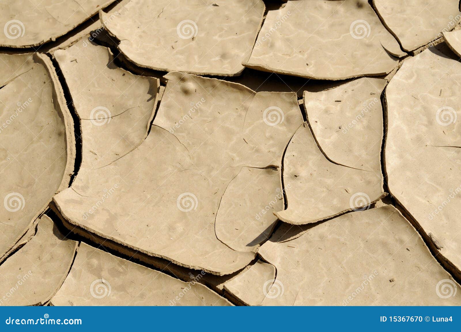 Cracked earth stock photo. Image of drouth, structure - 15367670