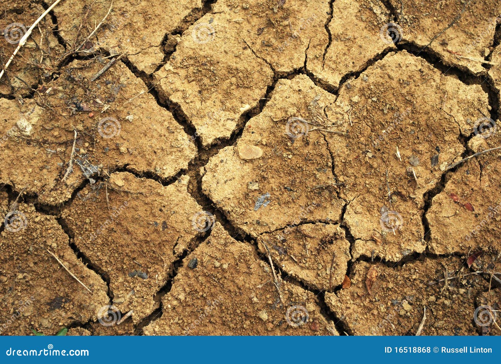Cracked Earth stock photo. Image of parched, cracked - 16518868