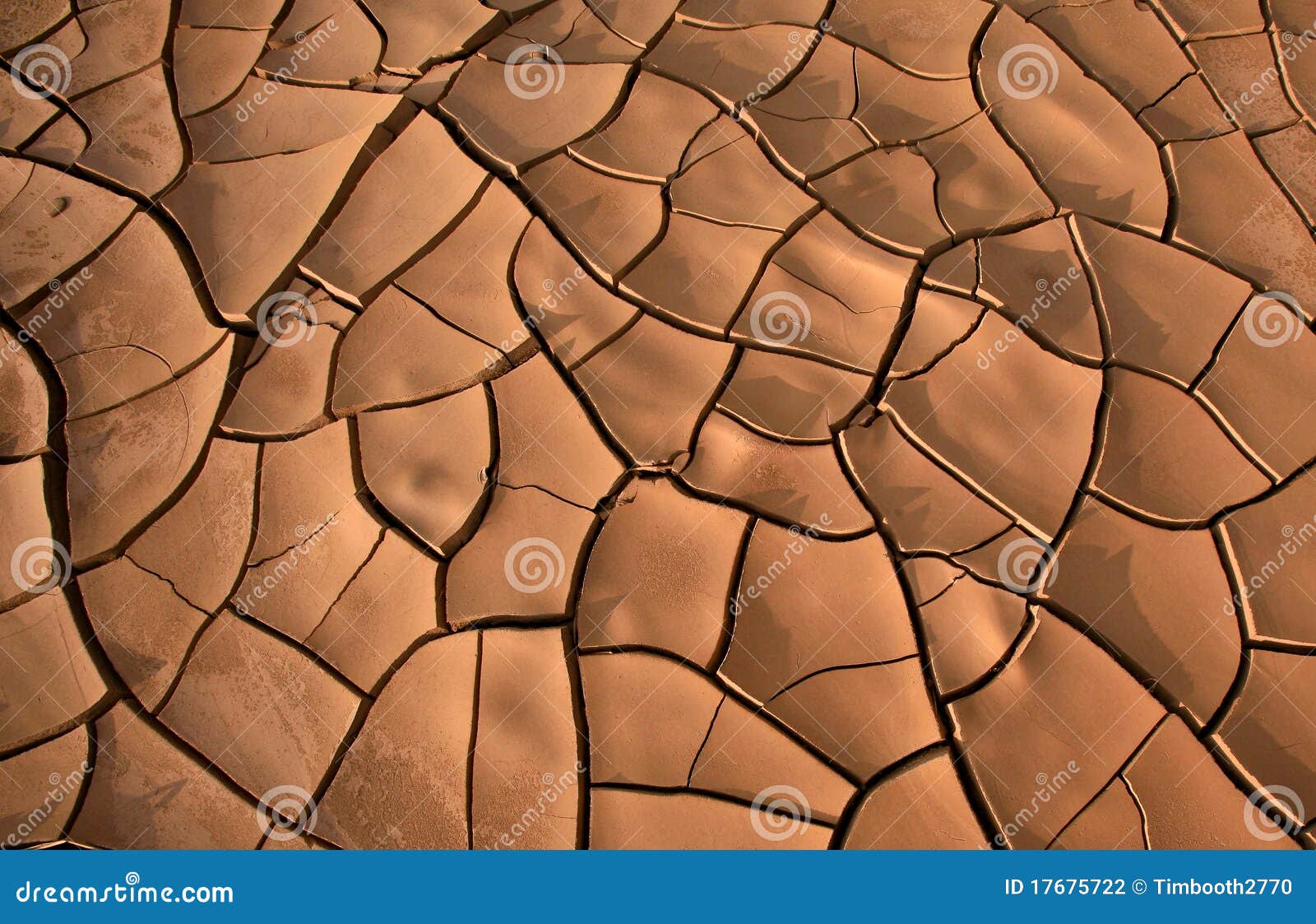 Cracked earth stock photo. Image of nature, heat, environment - 17675722