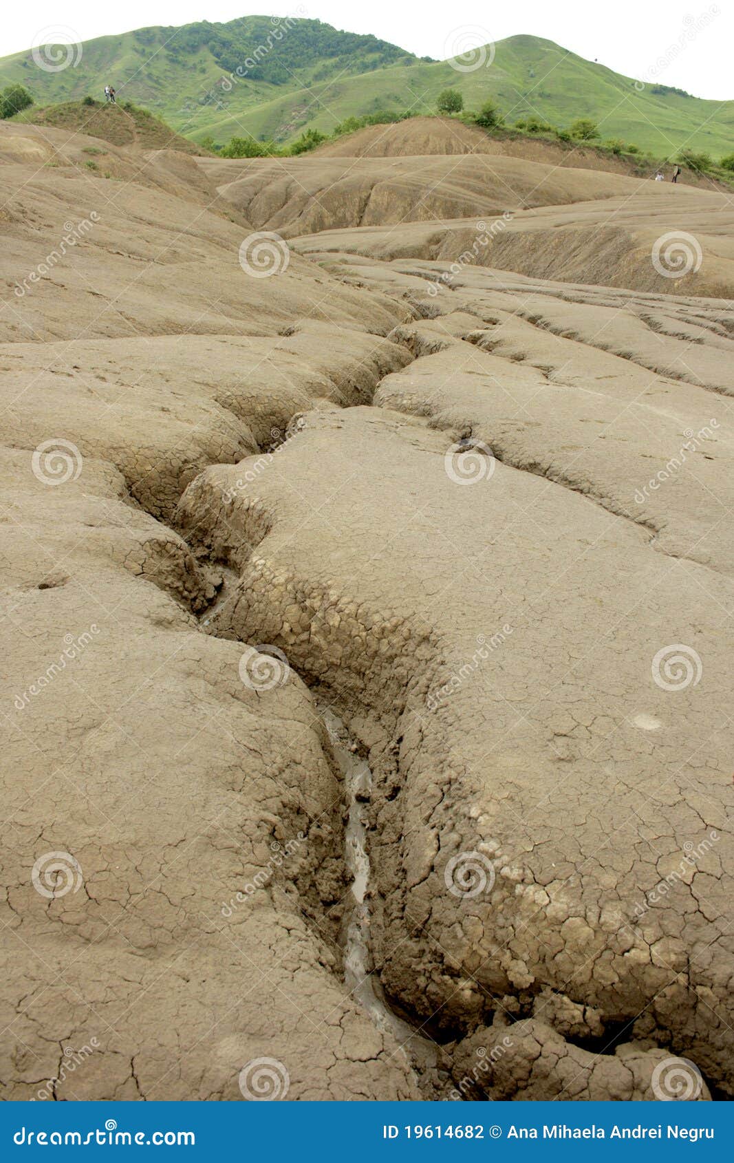 Cracked earth stock photo. Image of forest, brown, attraction - 19614682