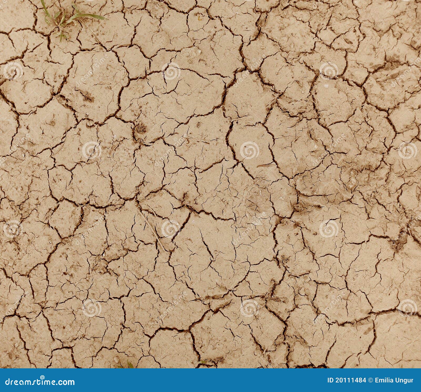 Cracked earth stock photo. Image of earth, barren, warming - 20111484