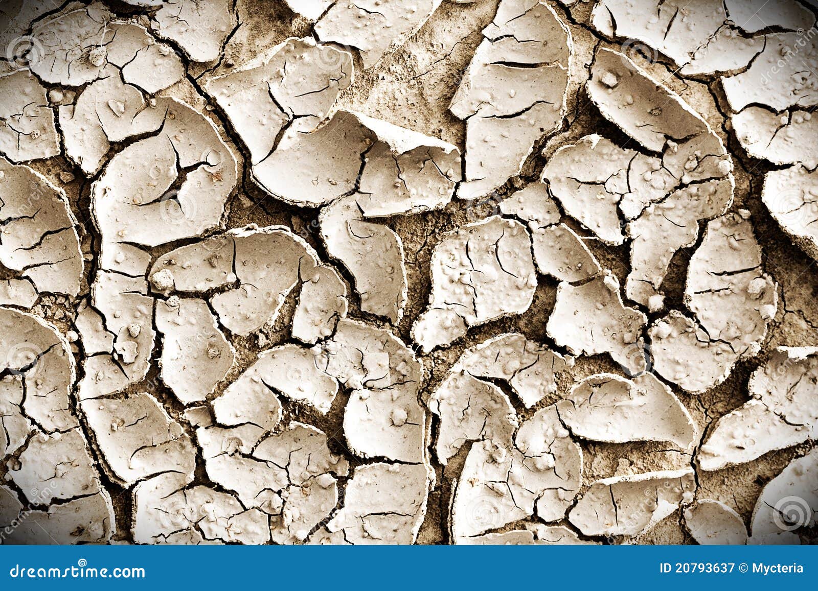 Cracked Earth stock image. Image of disaster, climate - 20793637