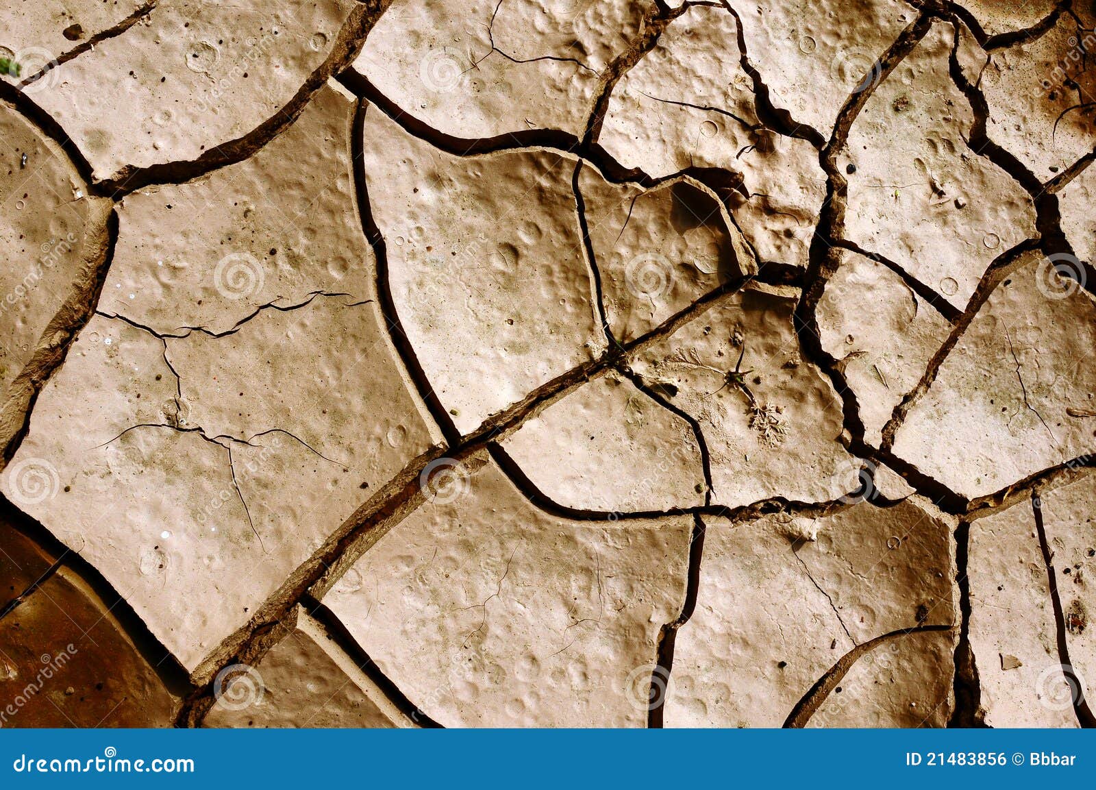 Cracked earth stock photo. Image of dirt, environment - 21483856