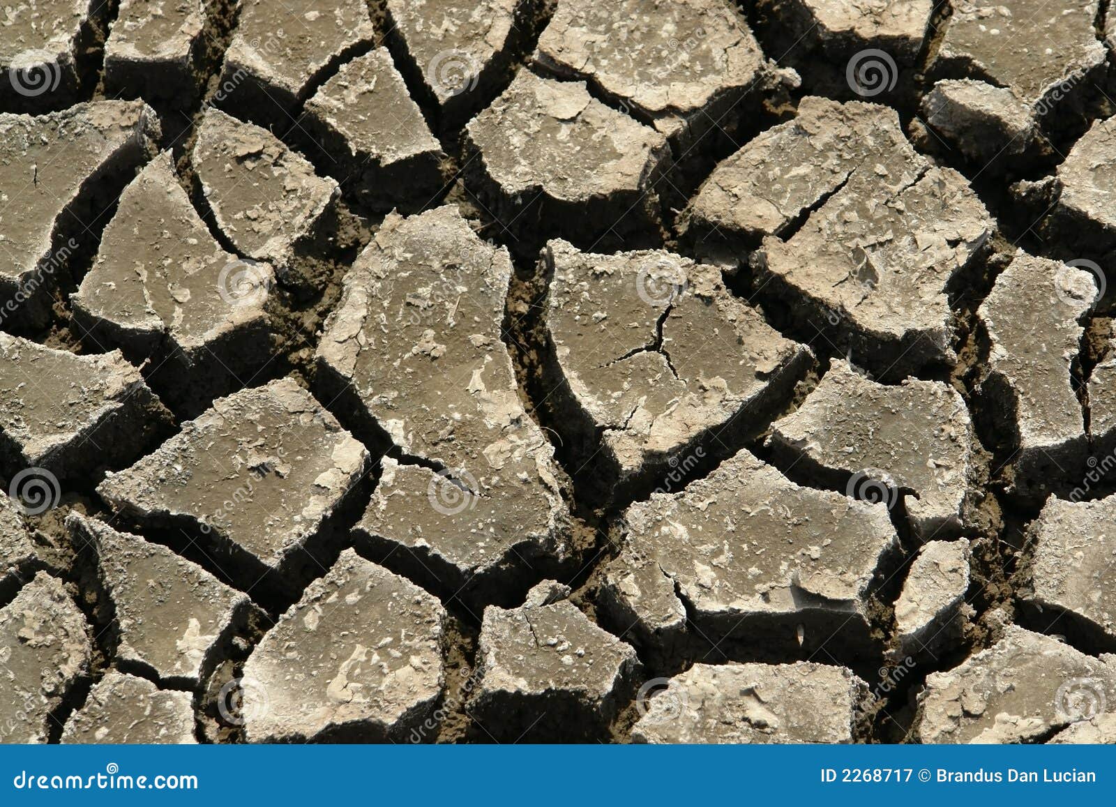 Cracked earth stock image. Image of grooves, damage, earth - 2268717