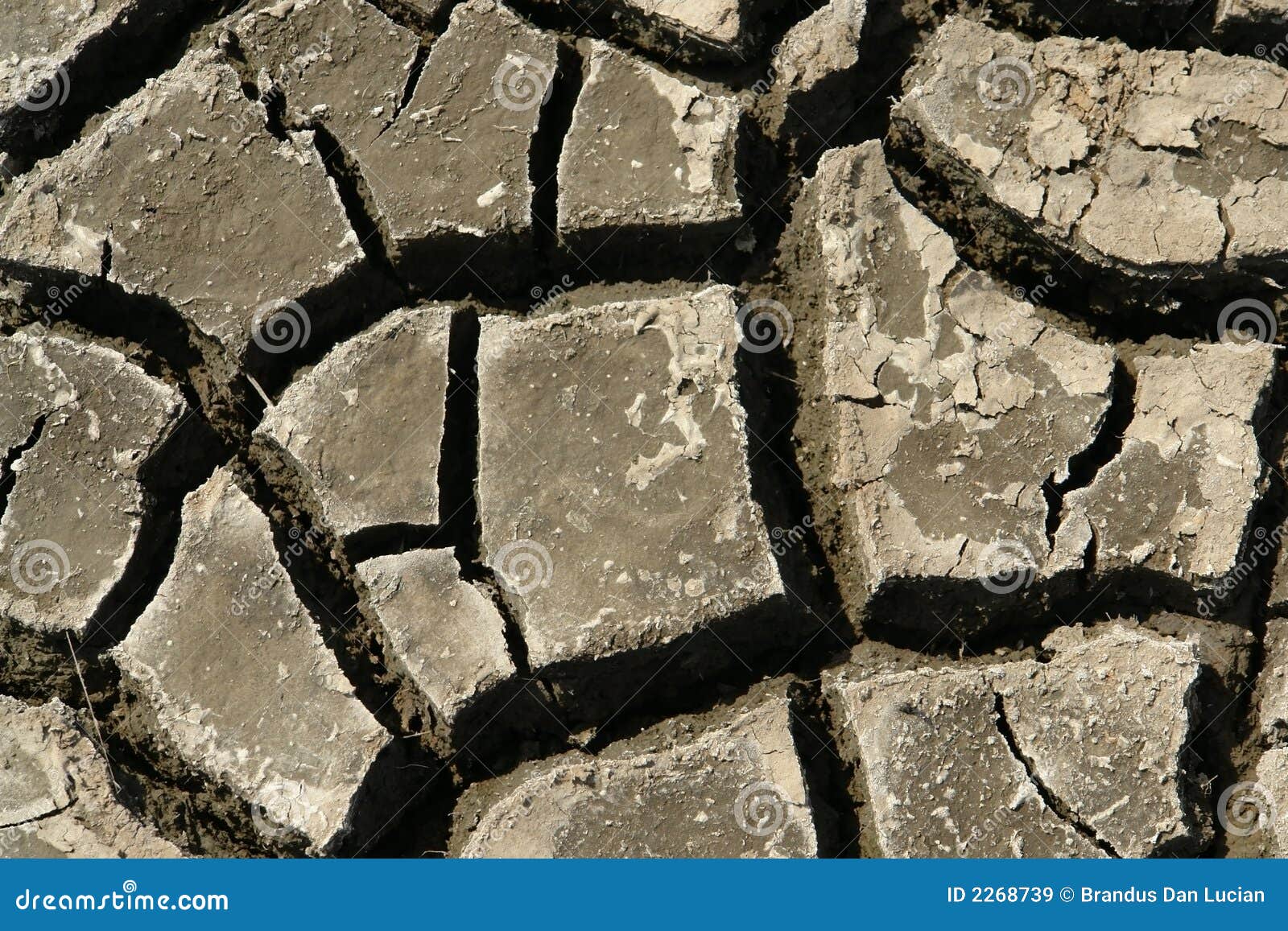 Cracked earth stock image. Image of arid, desolate, arable - 2268739