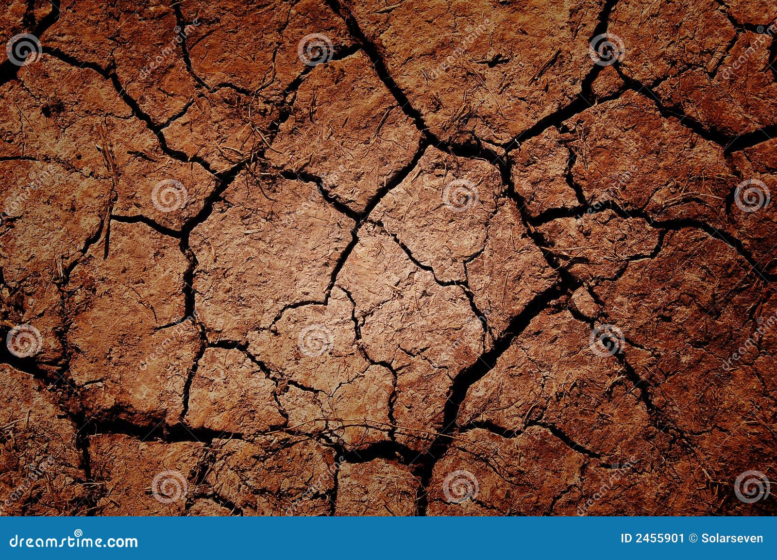 Cracked Earth stock image. Image of background, earth - 2455901