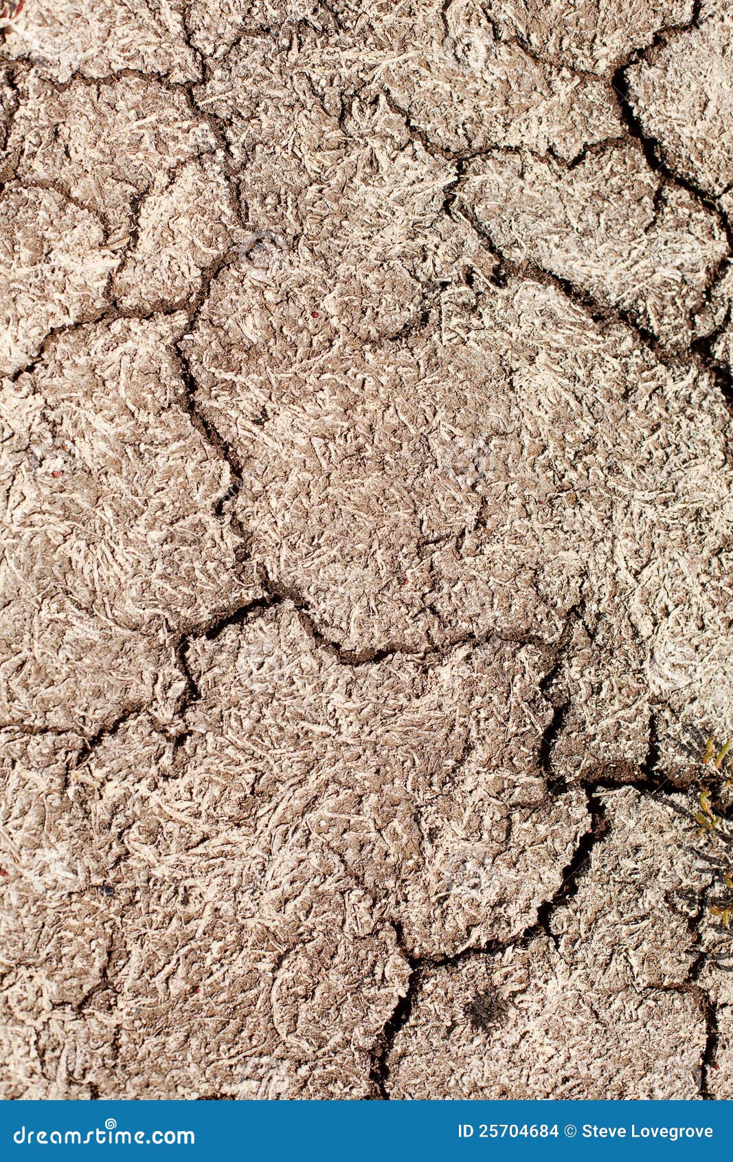 Cracked Earth stock photo. Image of environment, arid - 25704684
