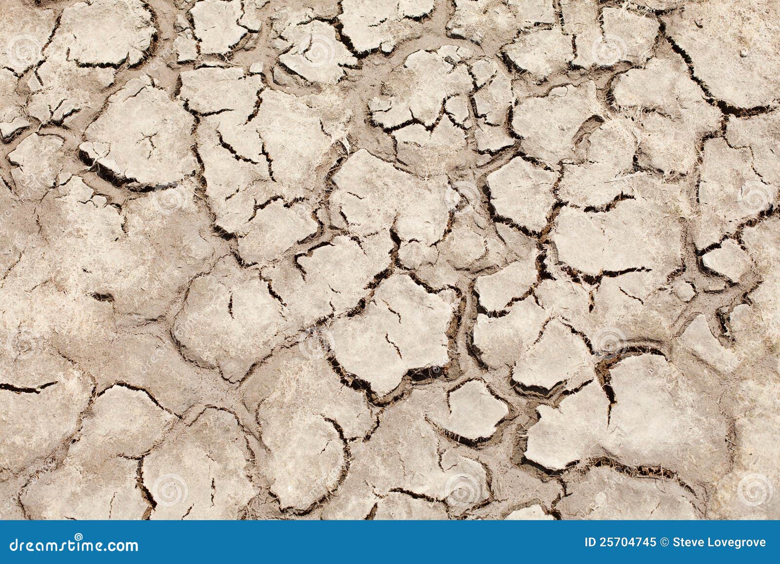 Cracked Earth stock image. Image of earth, nature, salinity - 25704745