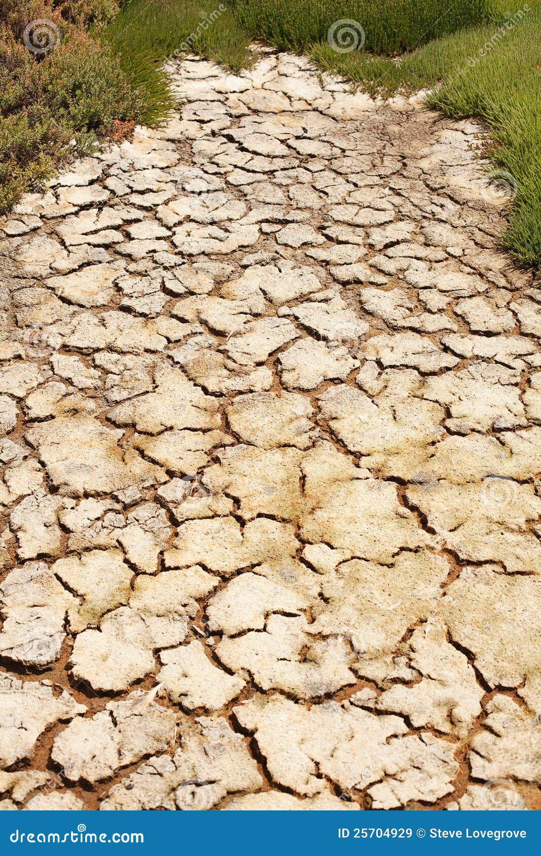 Cracked Earth stock image. Image of land, cracked, parched - 25704929