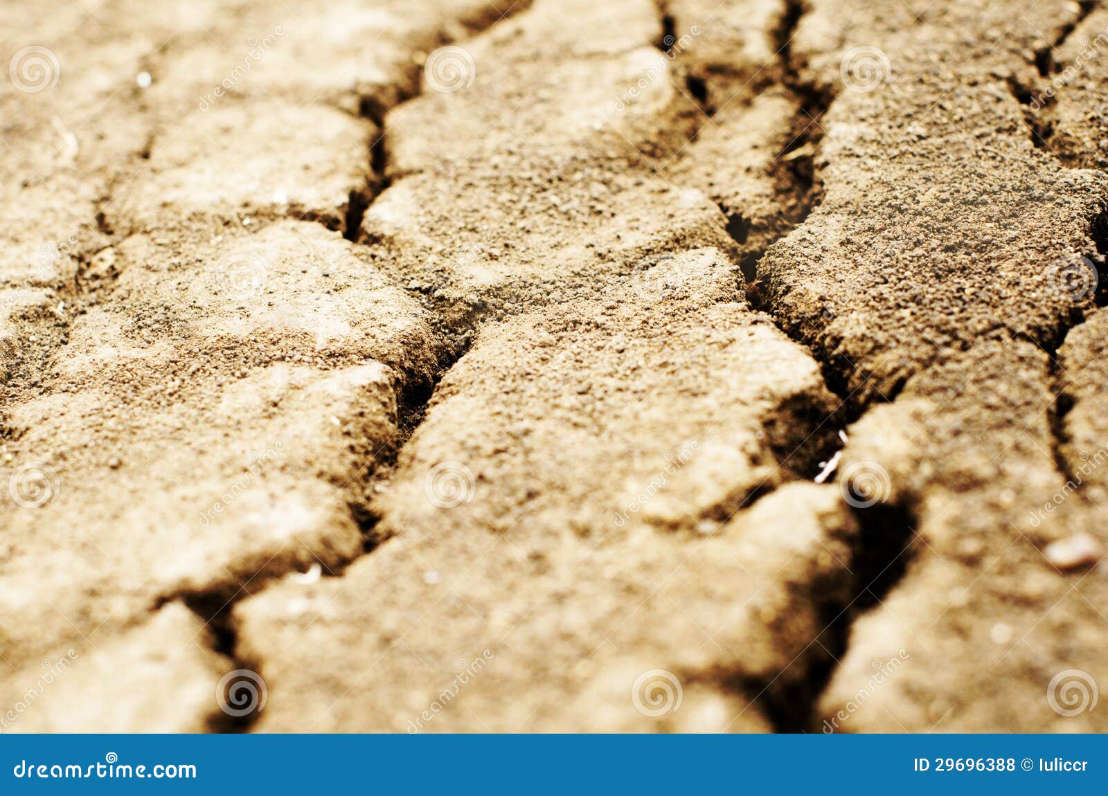 Cracked earth stock photo. Image of area, disaster, geological - 29696388