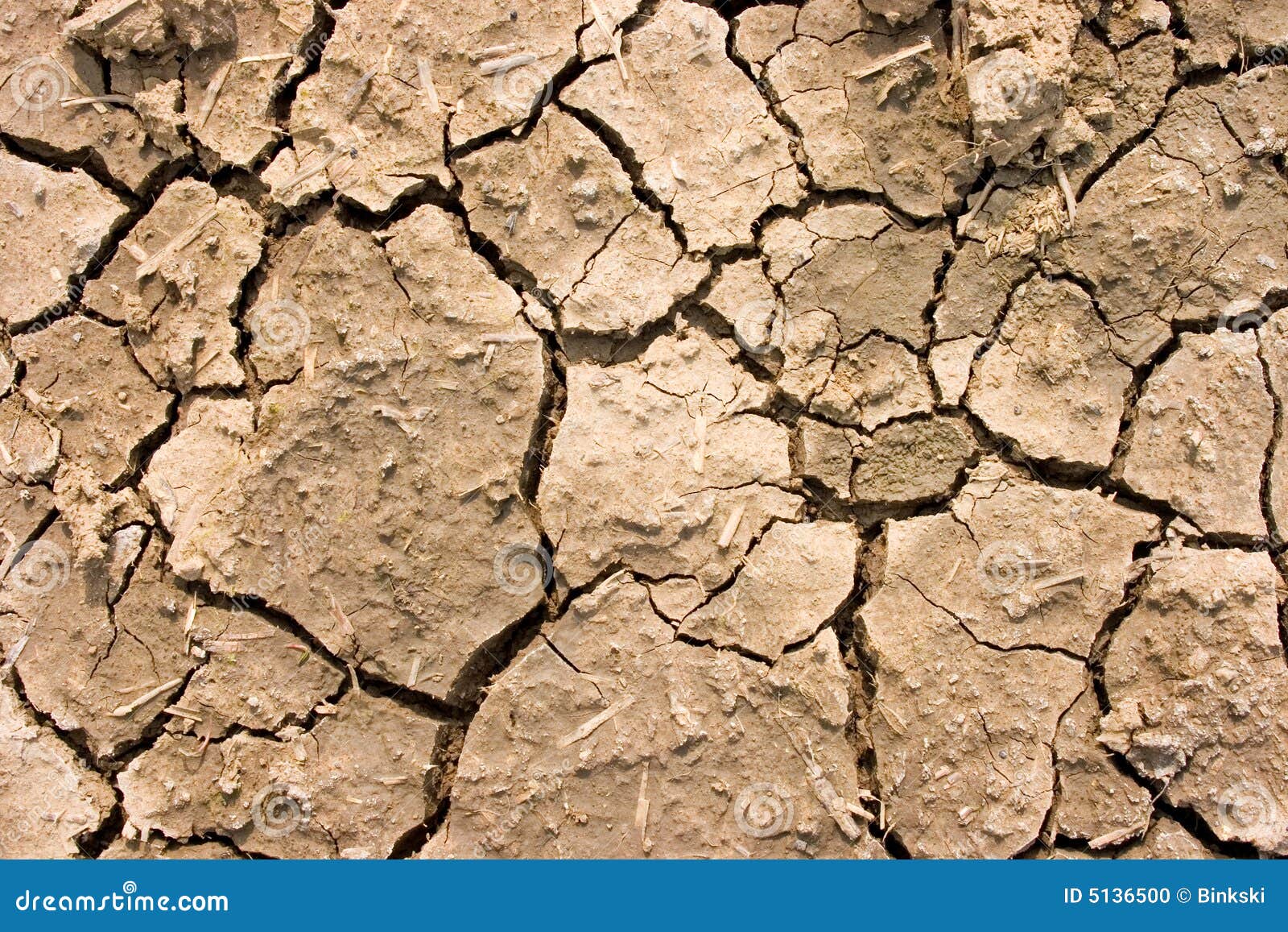 Cracked Earth stock photo. Image of extreme, famine, barren - 5136500