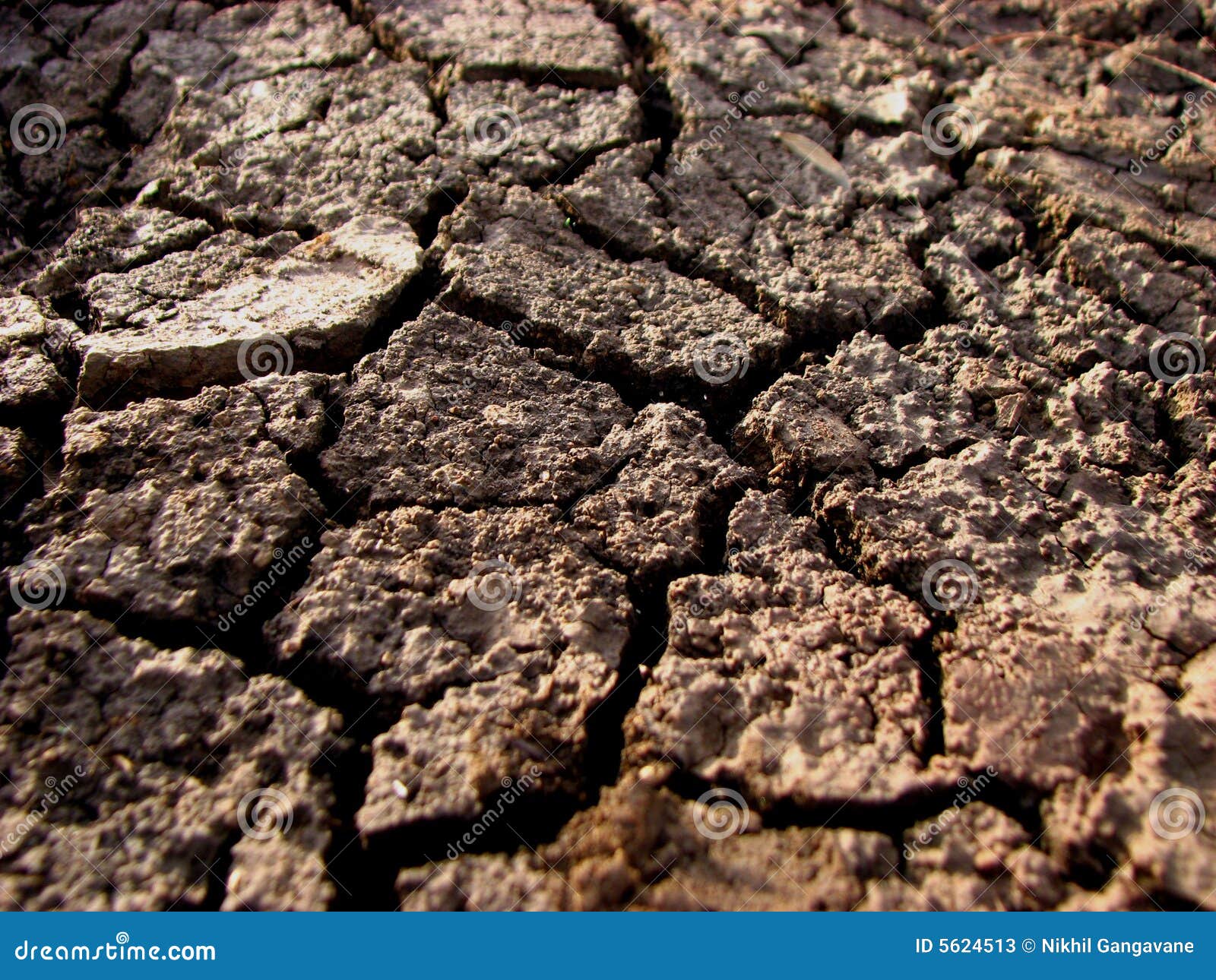 Cracked Earth stock image. Image of natural, textured - 5624513