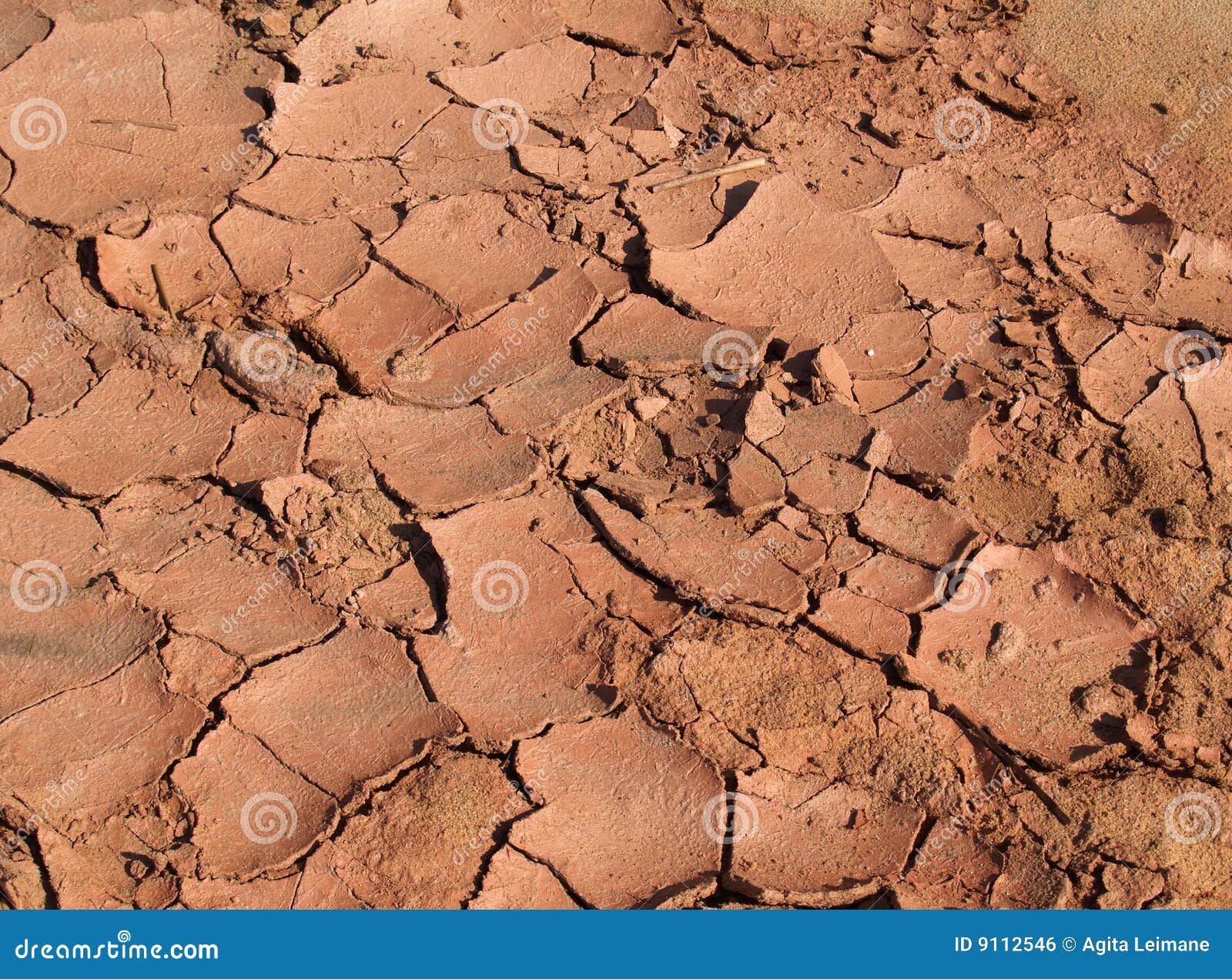 Cracked earth stock photo. Image of brown, background - 9112546