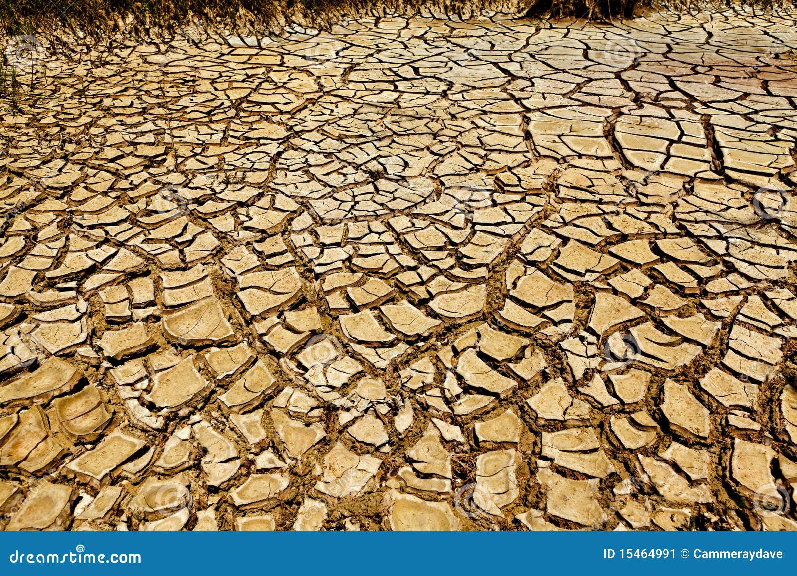 781 Inhospitable Environment Stock Photos - Free & Royalty-Free Stock ...