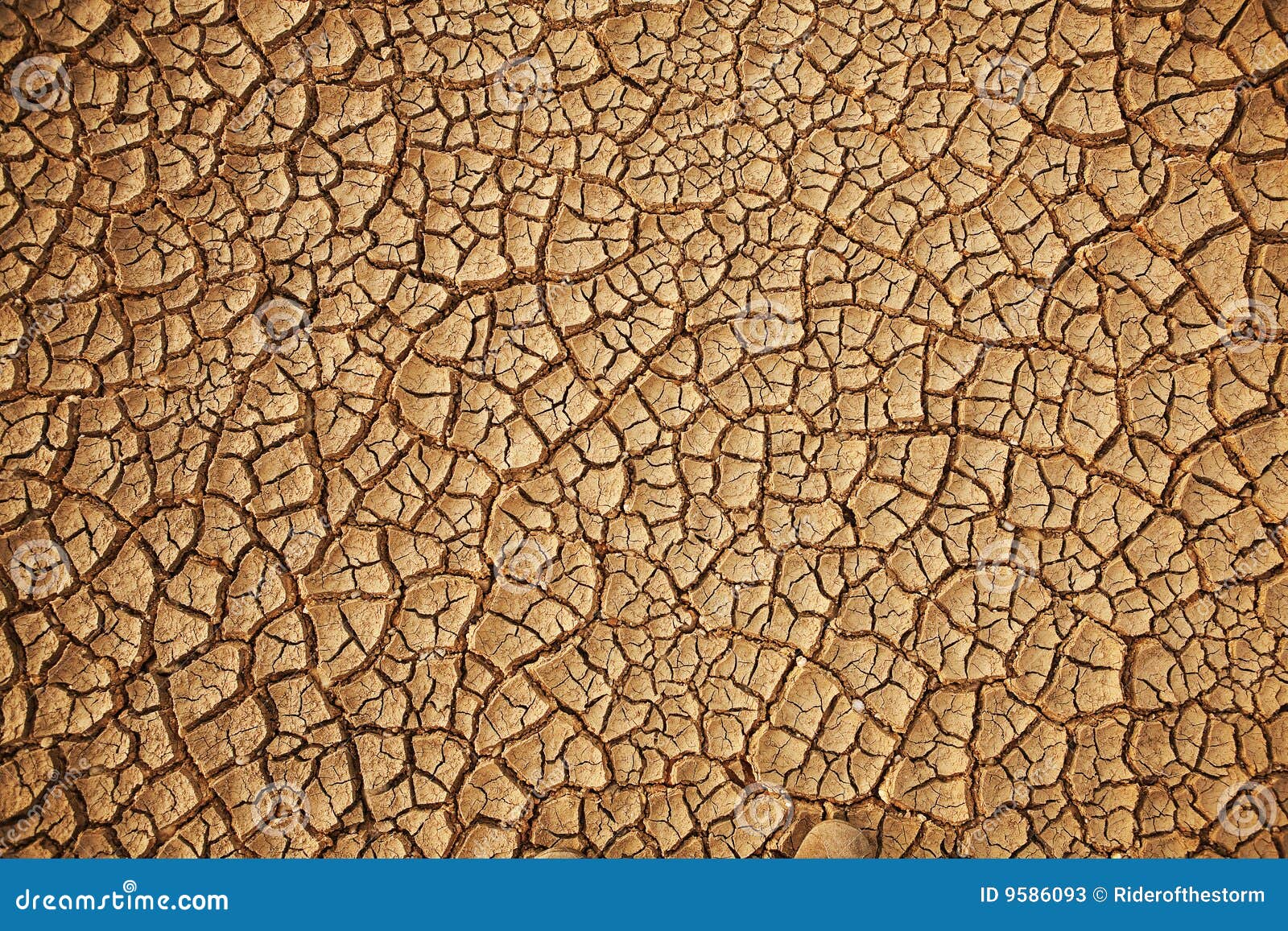 Dry Cracked Earth Texture. Cracks In The Dried Soil. Desertification ...
