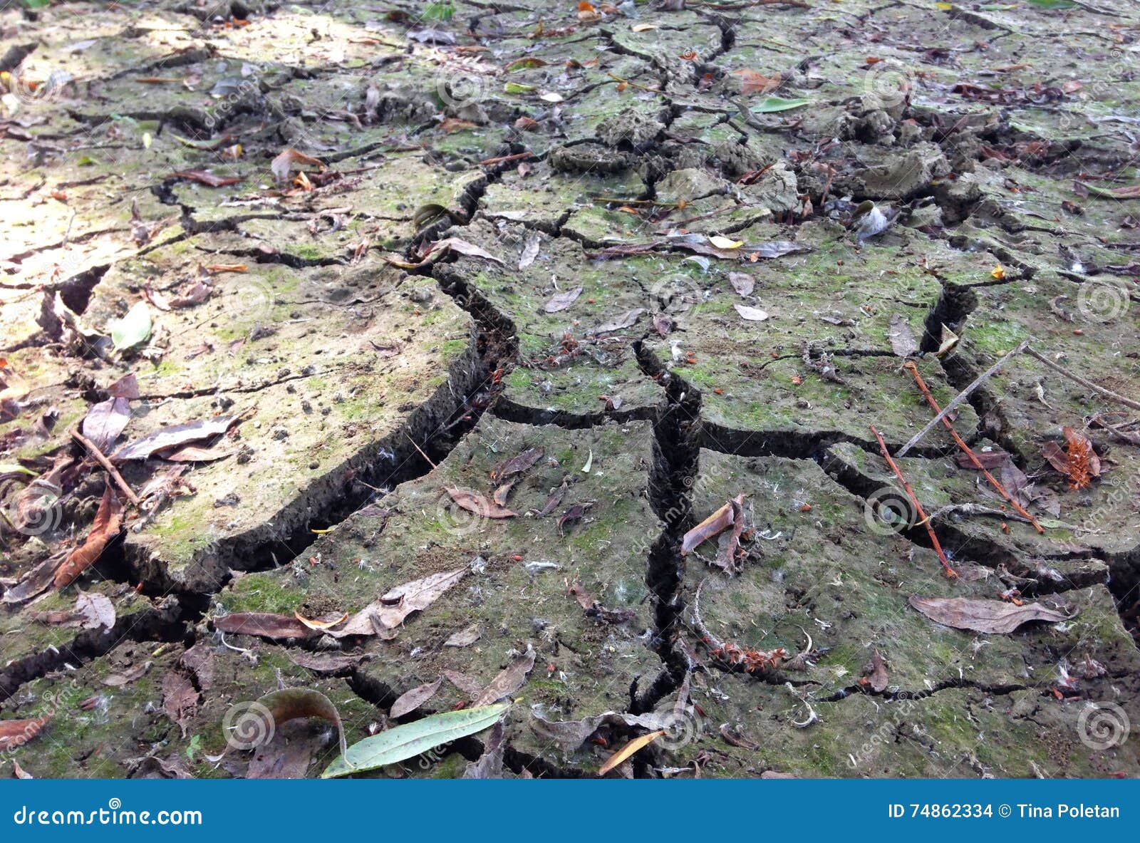 Cracked earth stock photo. Image of earth, heaven, ecology - 74862334