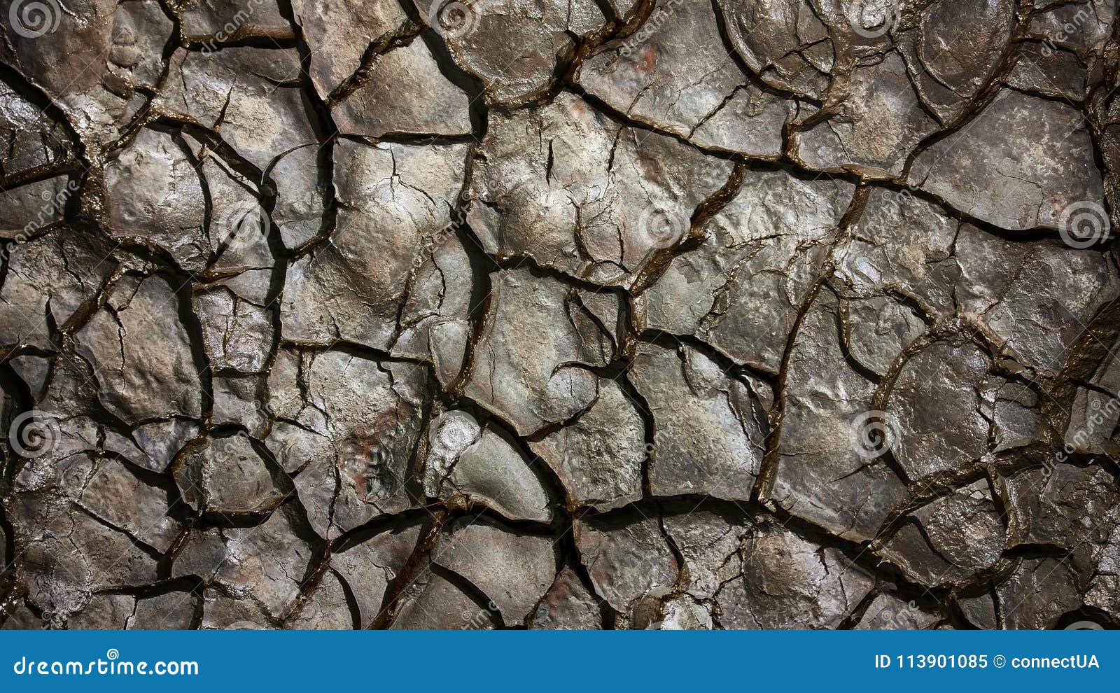 Cracked earth stock image. Image of disaster, clay, ecology - 113901085