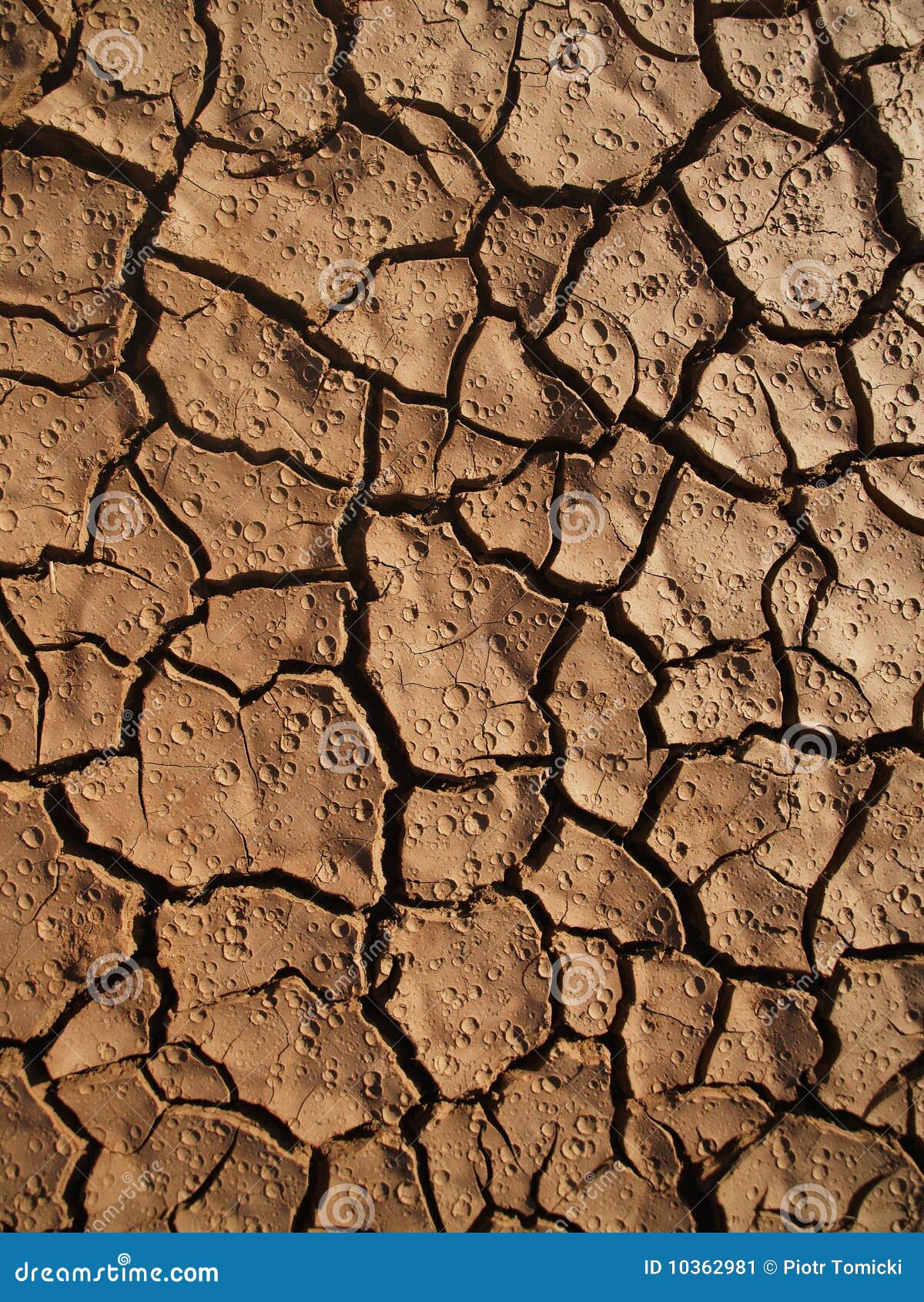 Cracked Earth after Drought Stock Image - Image of agriculture, climate ...