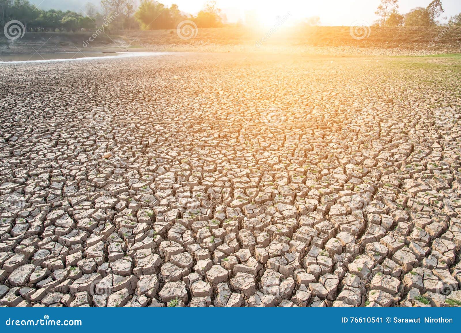 Cracked Earth,Drought,Dry Land,Dry Tree,Dry Dam. Stock Image - Image of ...