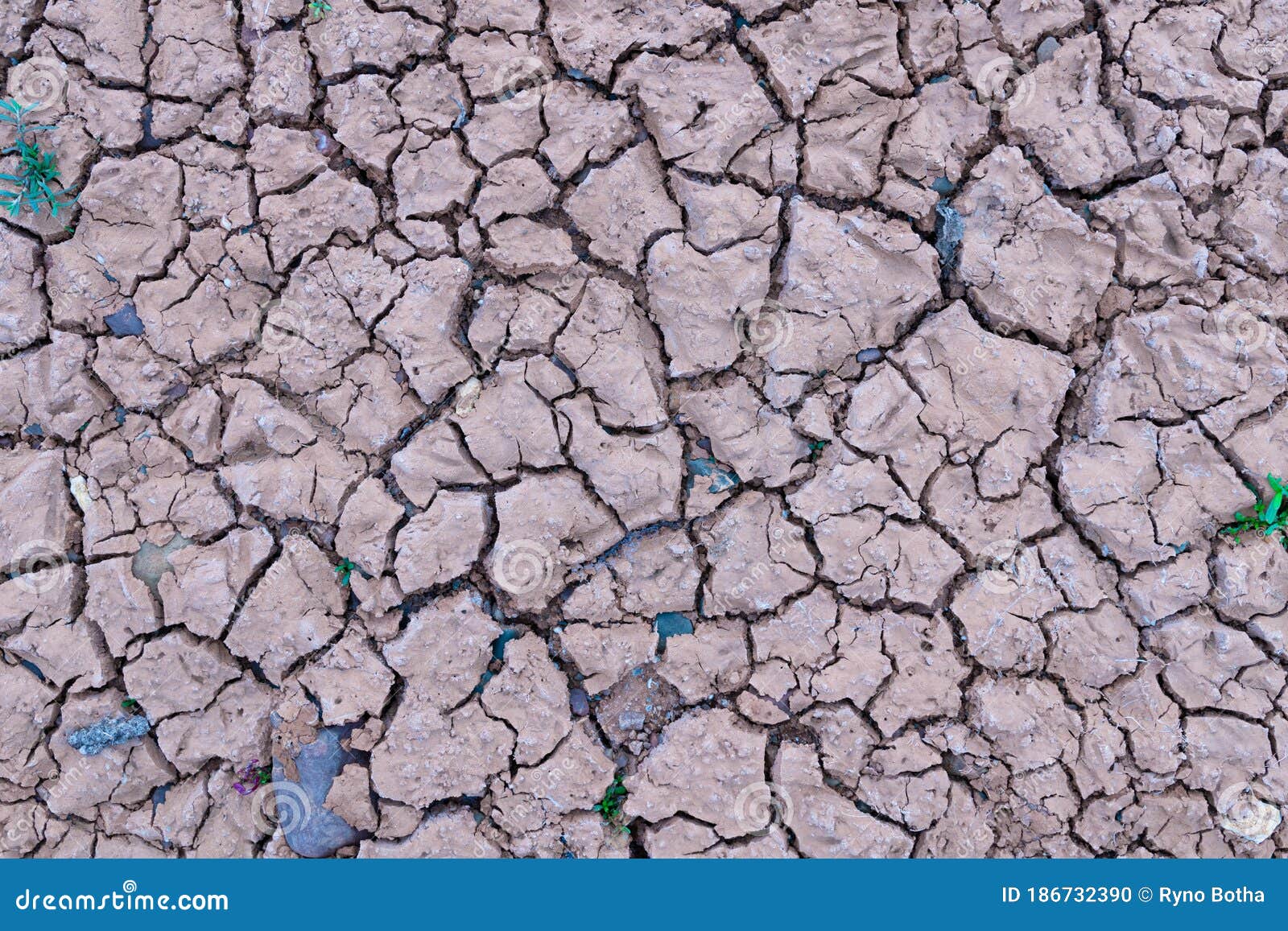 Cracked Earth, Drought Dry Riverbed Background Texture Stock Photo ...