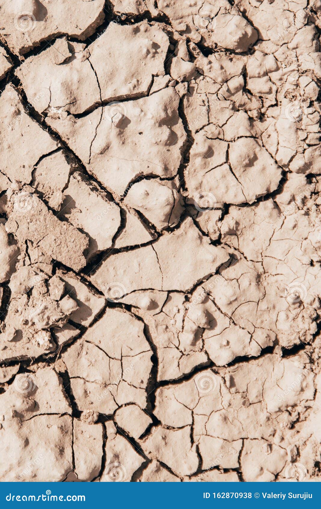 Cracked earth. drought stock photo. Image of ground - 162870938