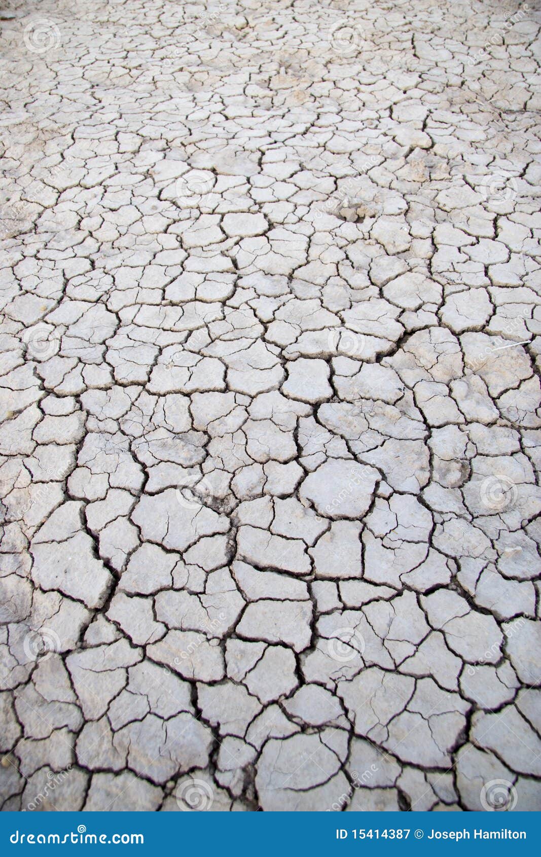 Cracked Earth in Dry Desert Stock Image - Image of sand, desert: 15414387