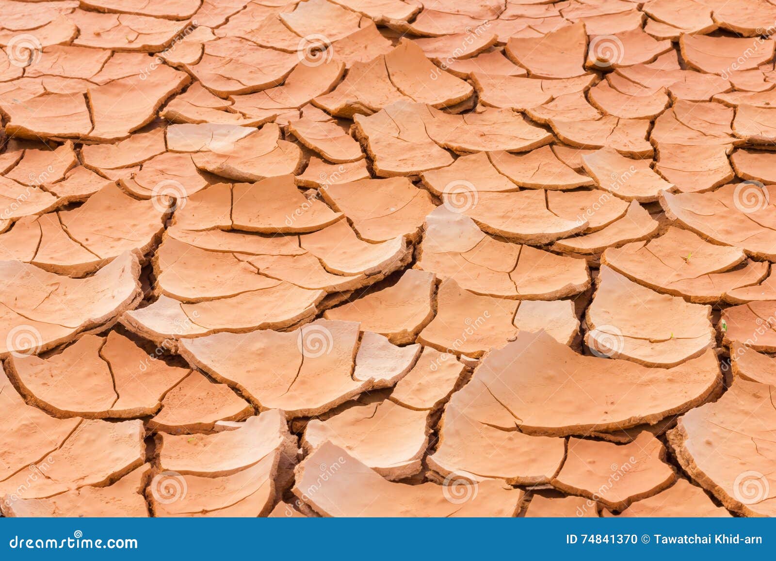 Cracked Earth in Dry Mud with Beautiful Texture. Perspective Vie Stock ...