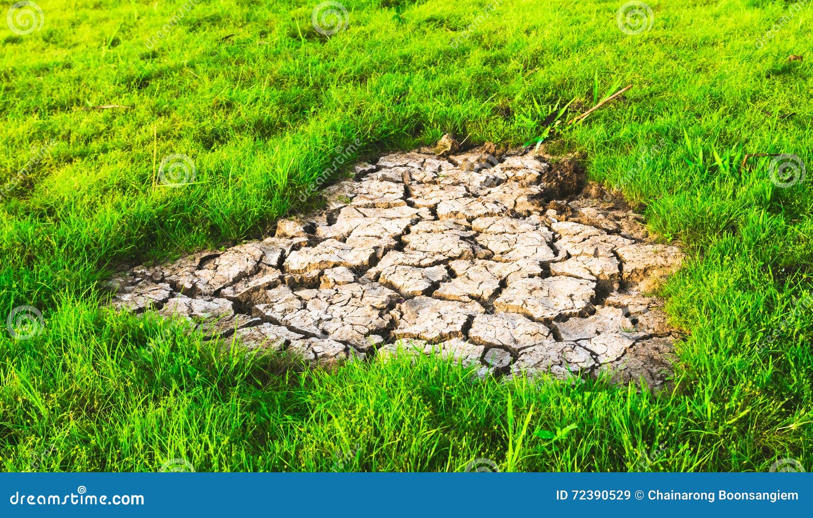 The Cracked Earth Ground in the Field Stock Image - Image of global ...