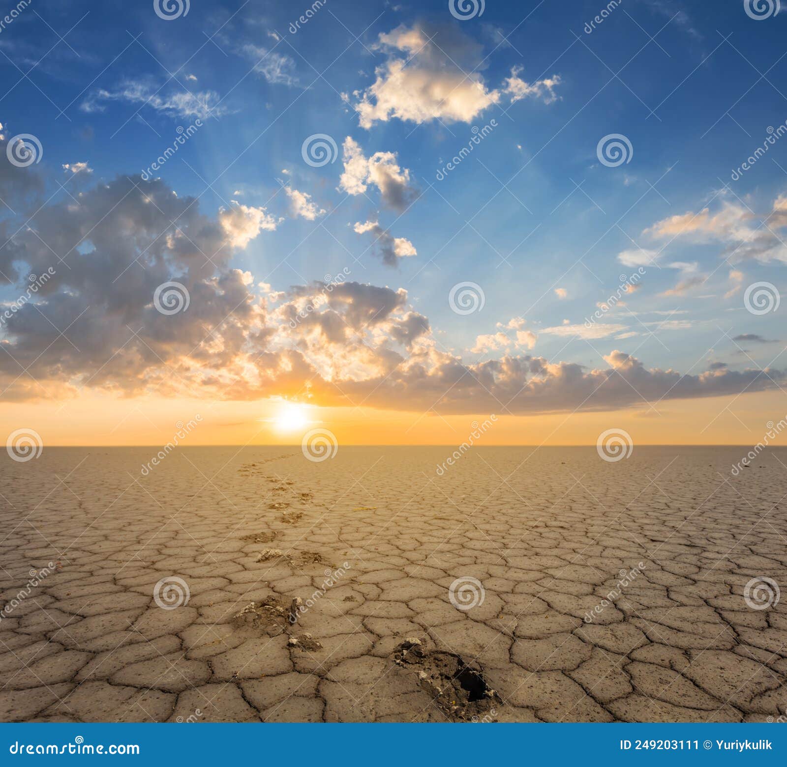 Cracked Earth with Human Track at the Sunset Stock Image - Image of ...