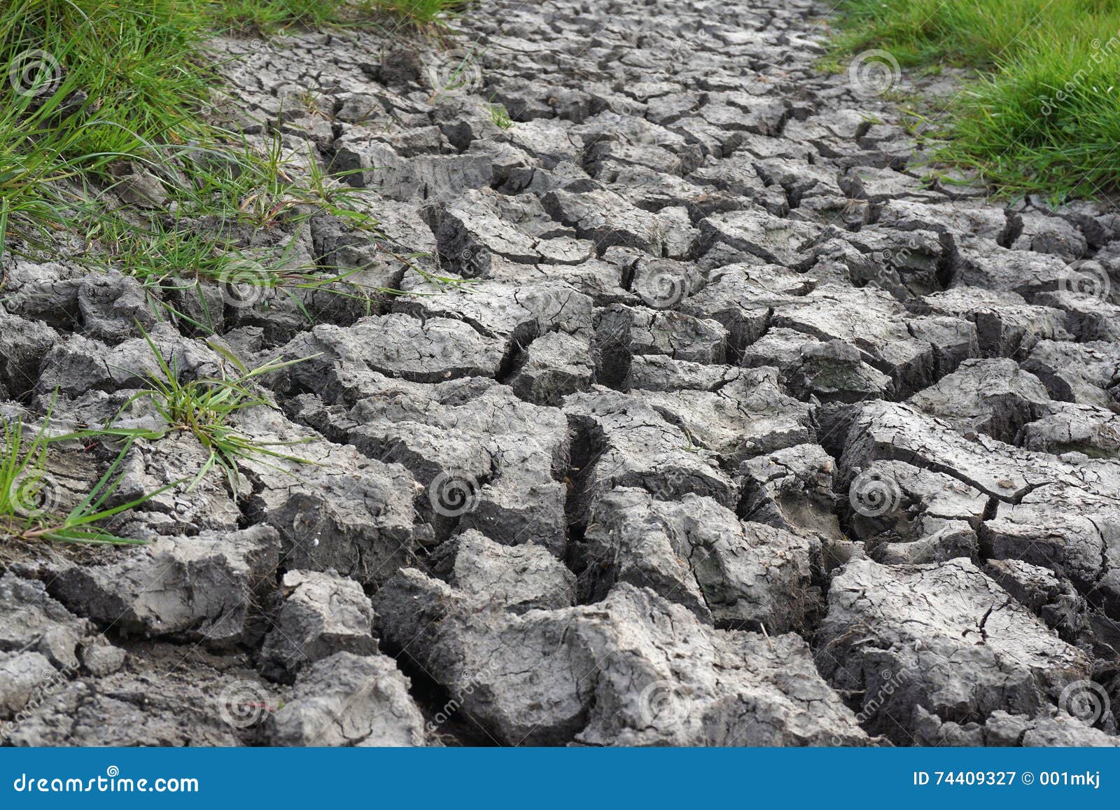 Cracked Earth Path through Grass Stock Image - Image of ground, soil ...