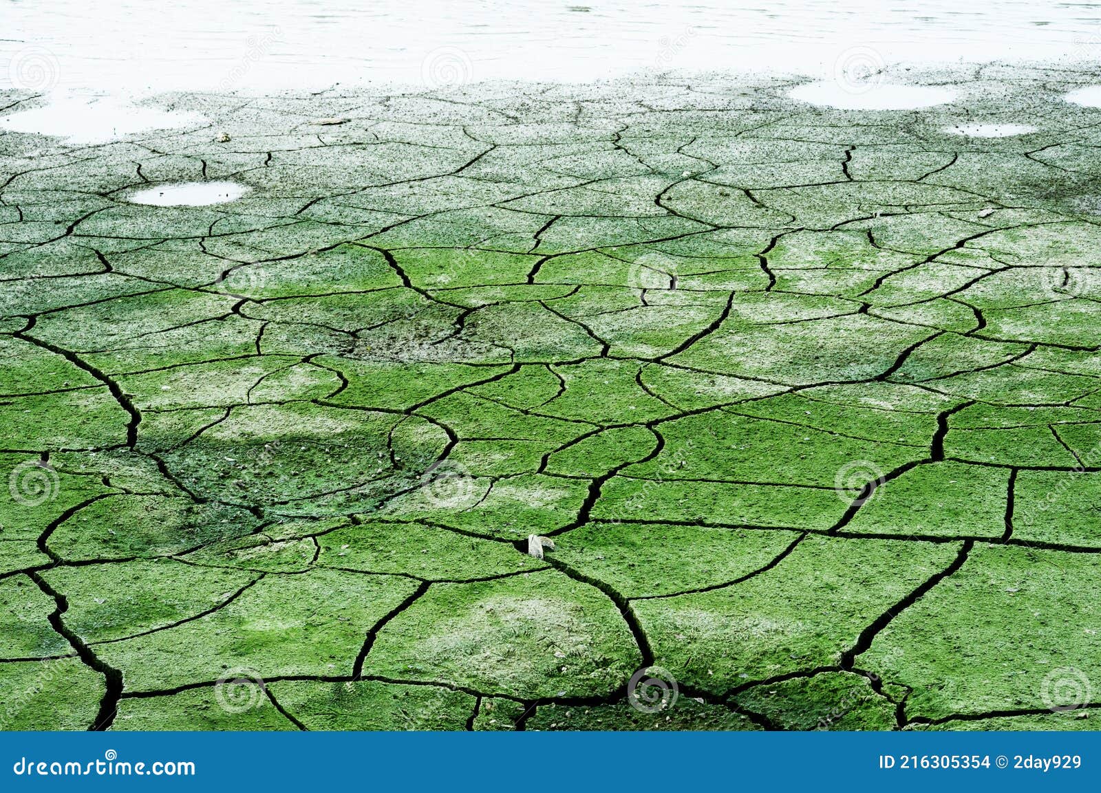 Drought, Cracked Earth, Water, Nature Stock Photo - Image of drought ...