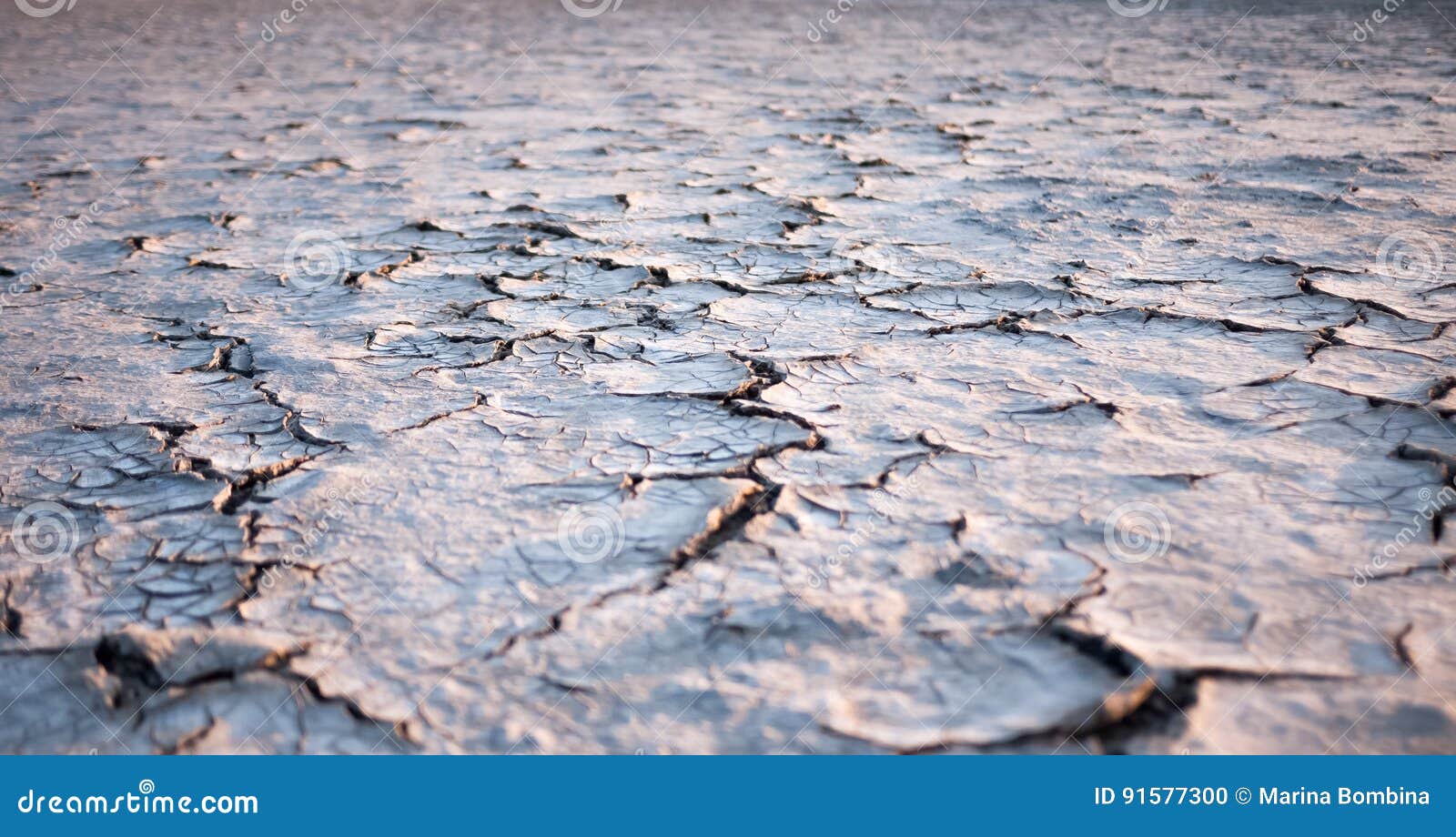 Earth Soil Texture Background Stock Image | CartoonDealer.com #83694373