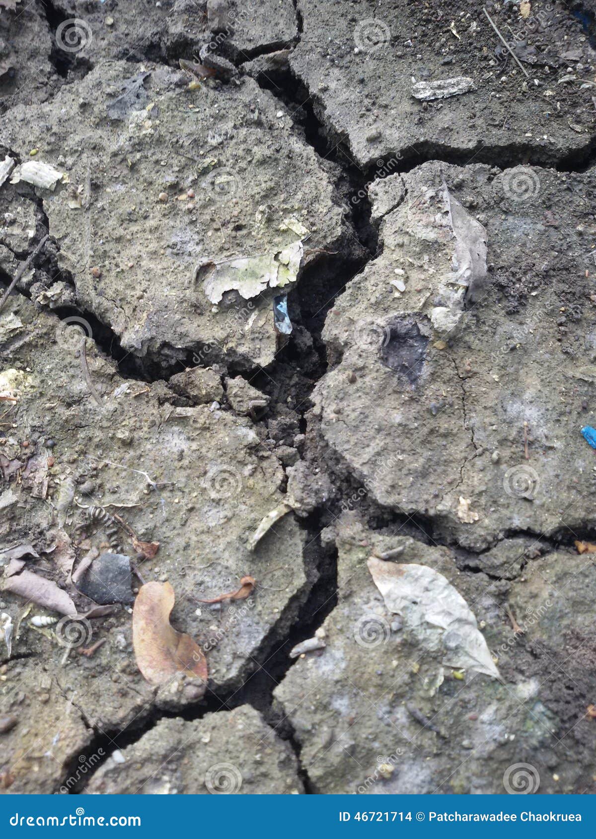 Cracked earth stock photo. Image of moisture, background - 46721714