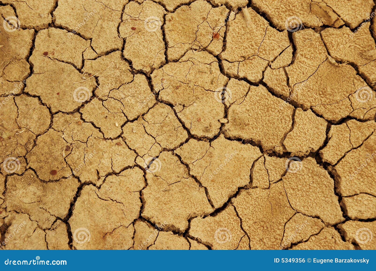 Cracked earth texture stock photo. Image of soil, golden - 5349356