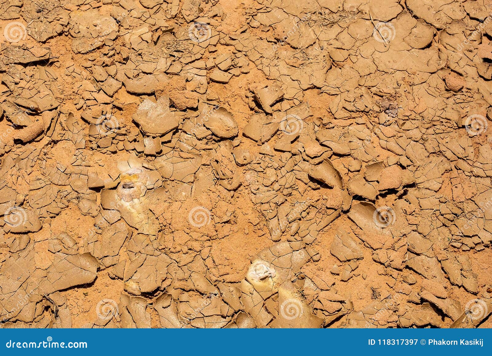 Cracked Earth Texture Background, Hot Wasteland Environment Terr Stock ...