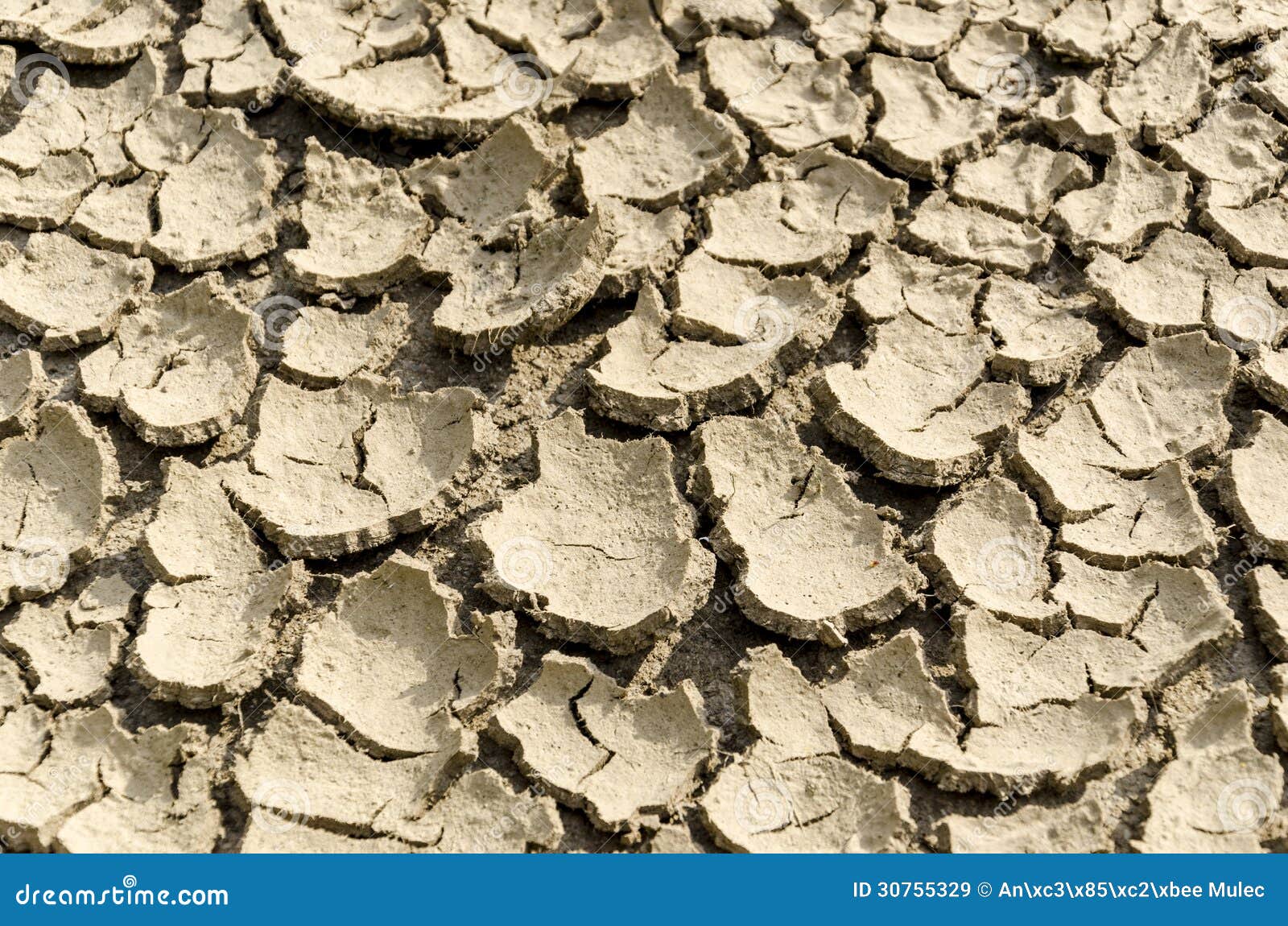 Cracked earth texture stock image. Image of lifeless - 30755329