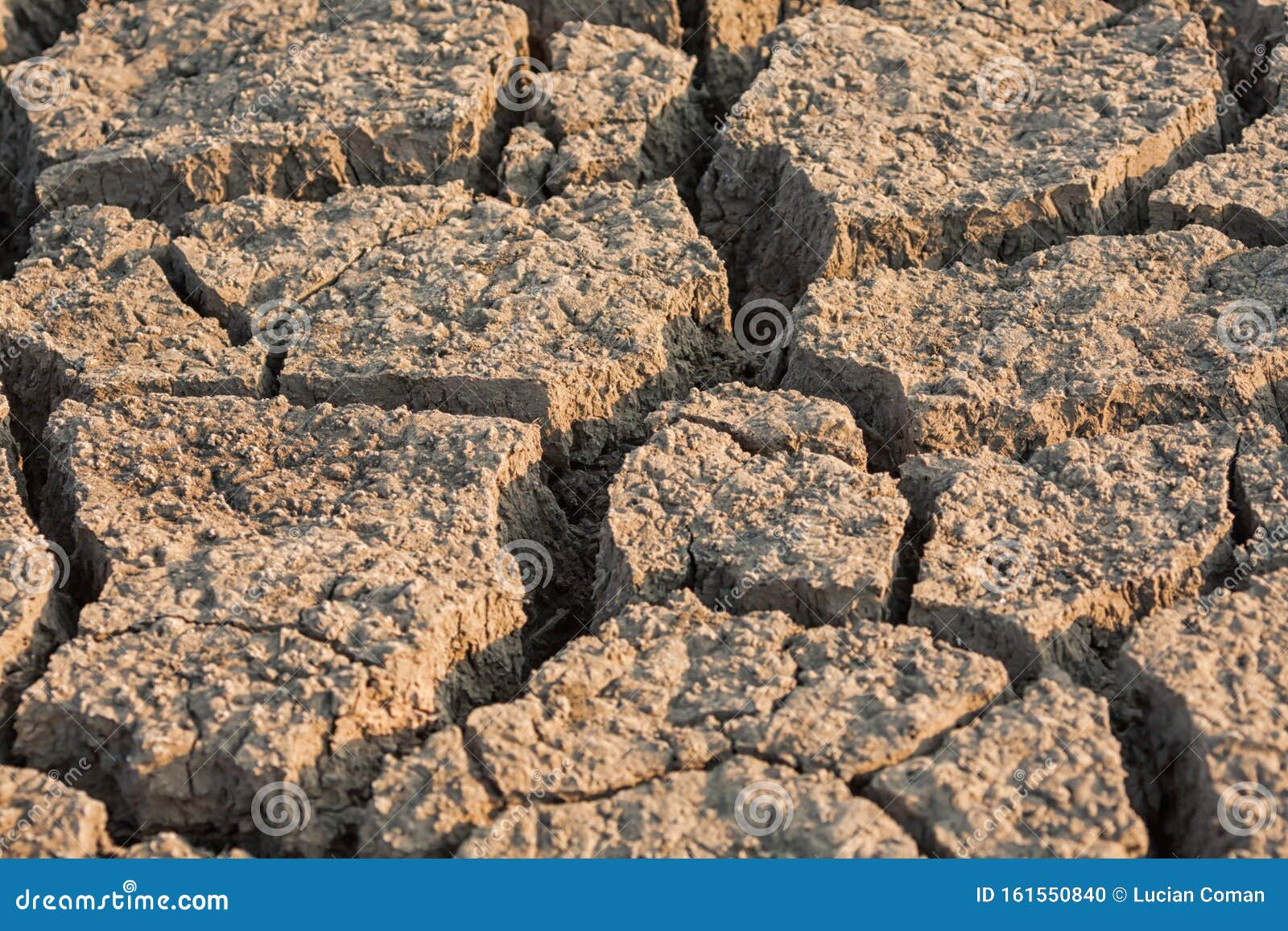 Cracked earth texture stock photo. Image of nature, outside - 161550840