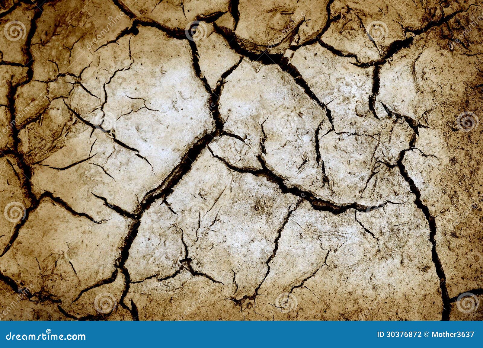 Cracked earth texture stock photo. Image of world, dirt - 30376872
