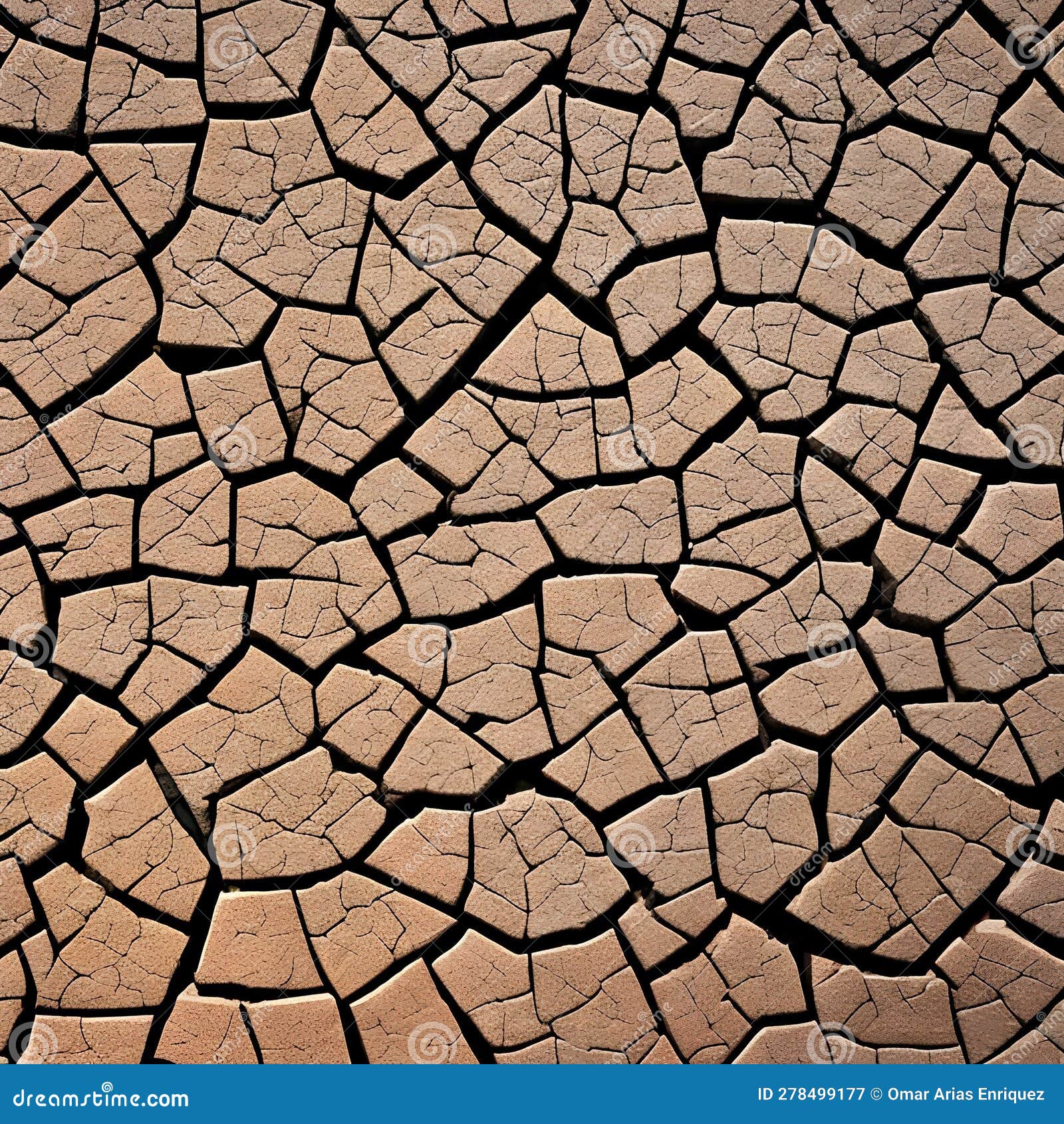 586 Cracked Earth Texture: a Textured and Weathered Background ...