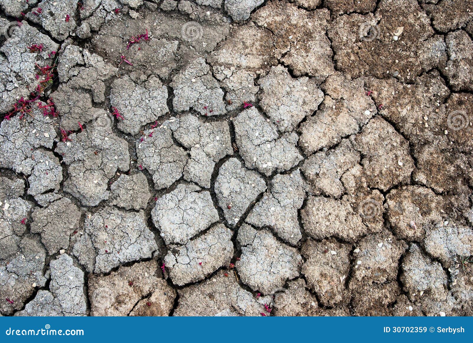Cracked earth texture stock image. Image of drought, fissure - 30702359