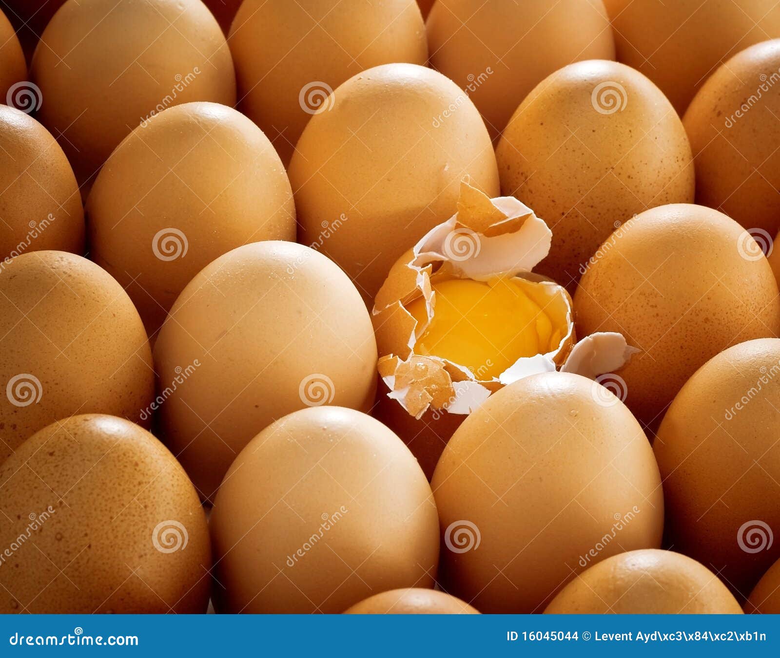 Cracked egg stock photo. Image of cracked, healthy, details - 16045044