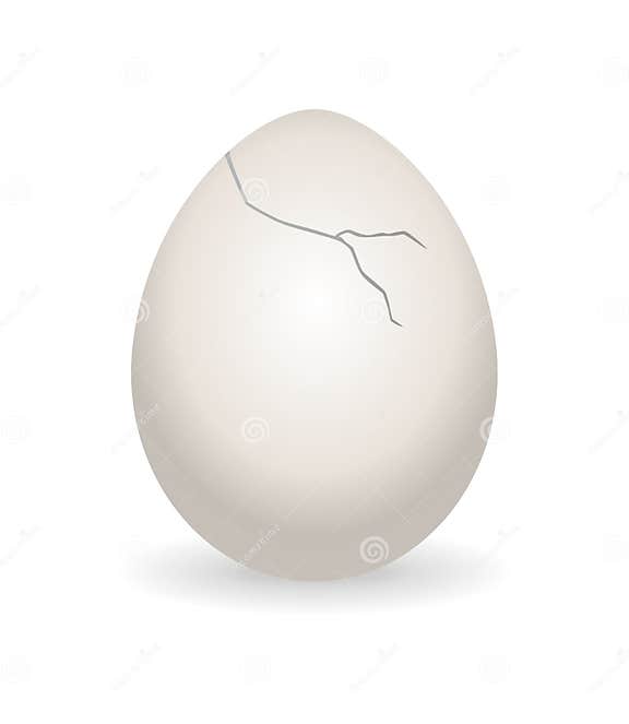 Cracked Egg. Eggshell Cracking Stage. Realistic Chicken Egg with Broken ...